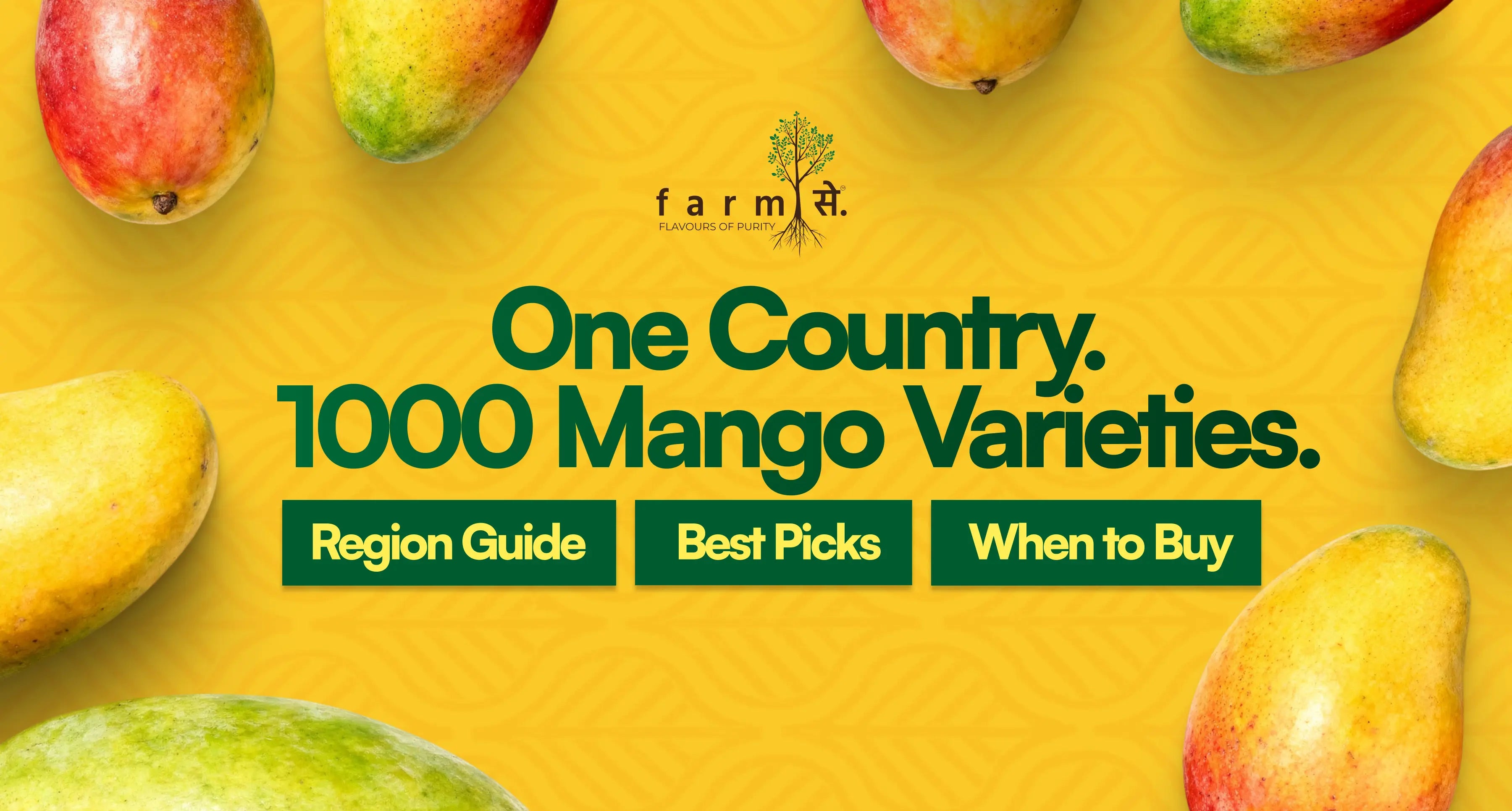 A Complete Guide to All Mango Types Found Across India – FarmSe